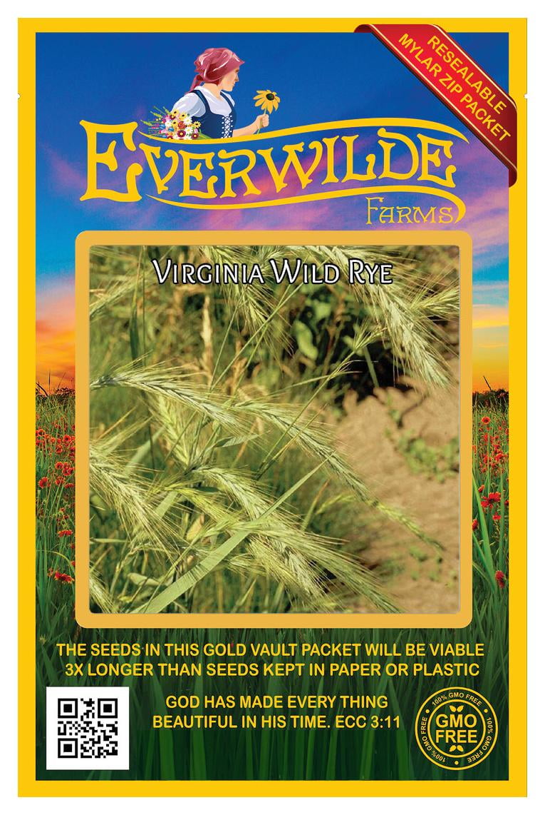 Everwilde Farms - 500 Virginia Wild Rye Native Grass Seeds - Gold Vault ...