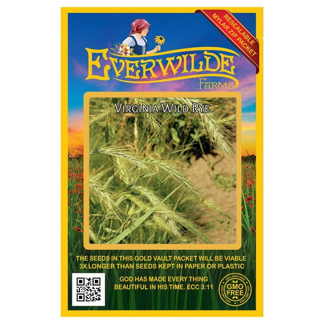 Everwilde Farms - 500 Virginia Wild Rye Native Grass Seeds - Gold Vault ...