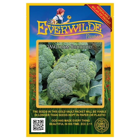 Bulk Broccoli Seeds
