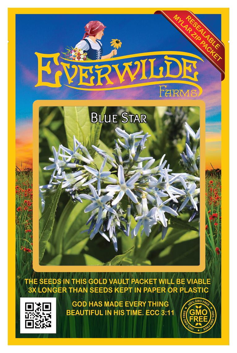 Everwilde Farms - 60 Blue Star Native Wildflower Seeds - Gold Vault ...