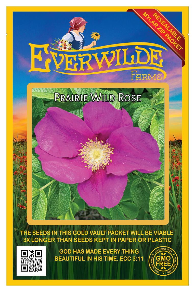 Everwilde Farms 60 Prairie Wild Rose Flower Seed - Walmart.com