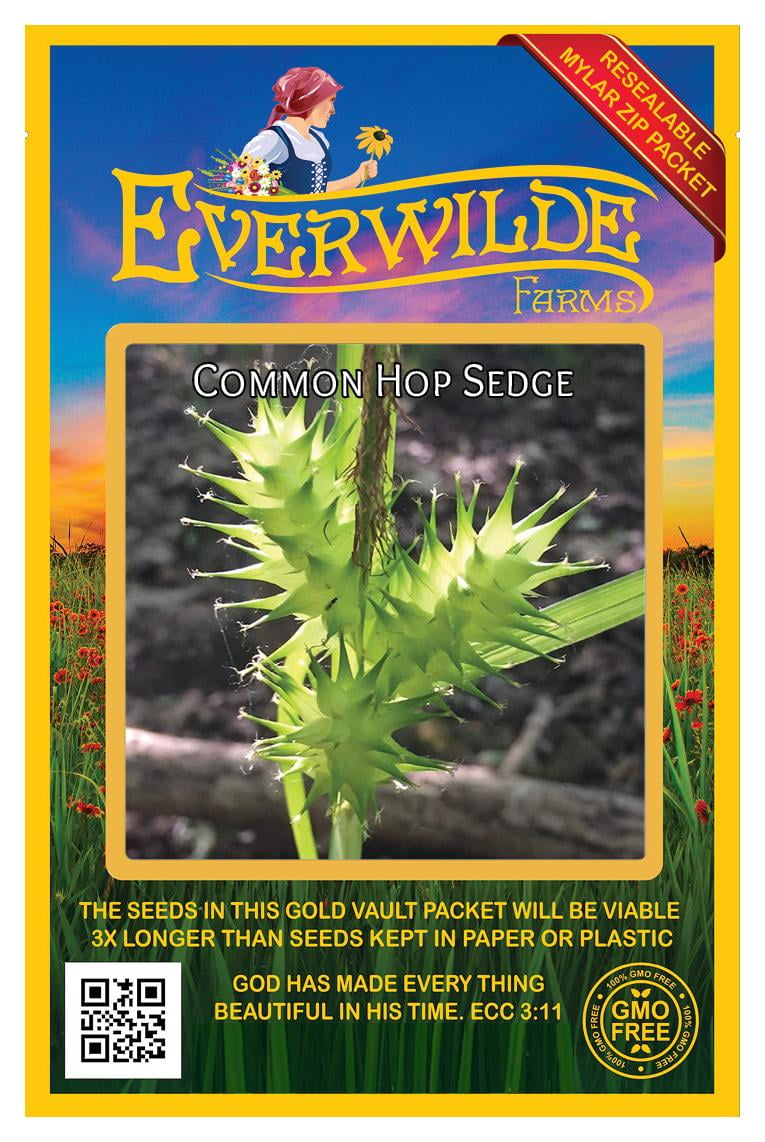 Everwilde Farms - 80 Common Hop Sedge Native Grass Seeds - Gold Vault ...