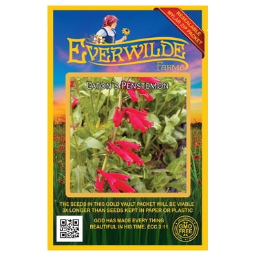 Everwilde Farms - 1 oz Sand Coreopsis Native Wildflower Seeds - Gold ...