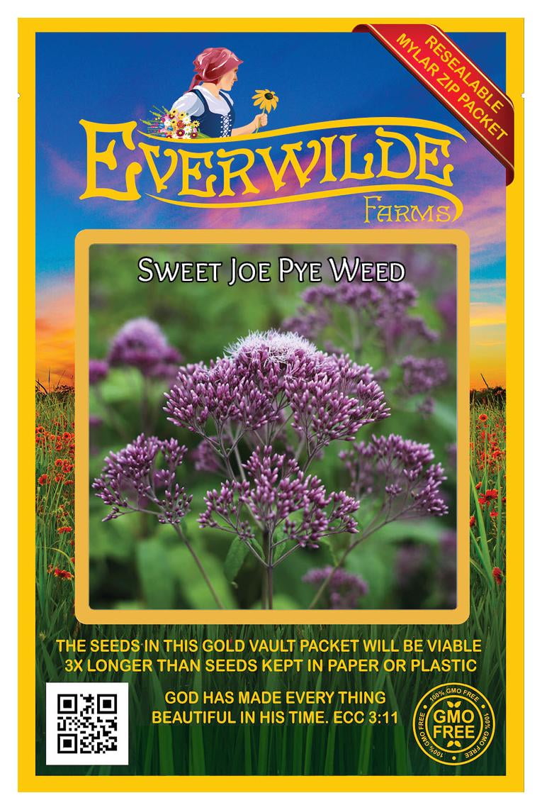 Everwilde Farms - 800 Sweet Joe Pye Weed Native Wildflower Seeds - Gold ...