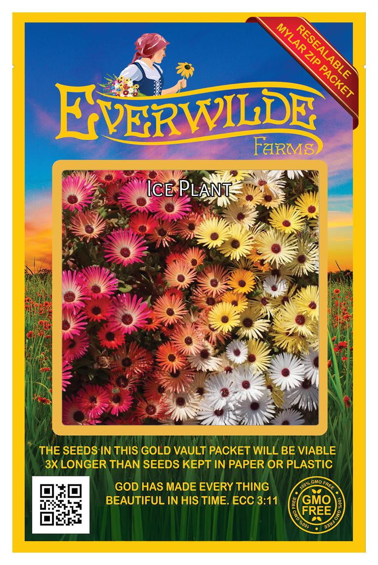 Everwilde Farms Ice Plant Flower Seeds, Resealable Mylar Packaging ...