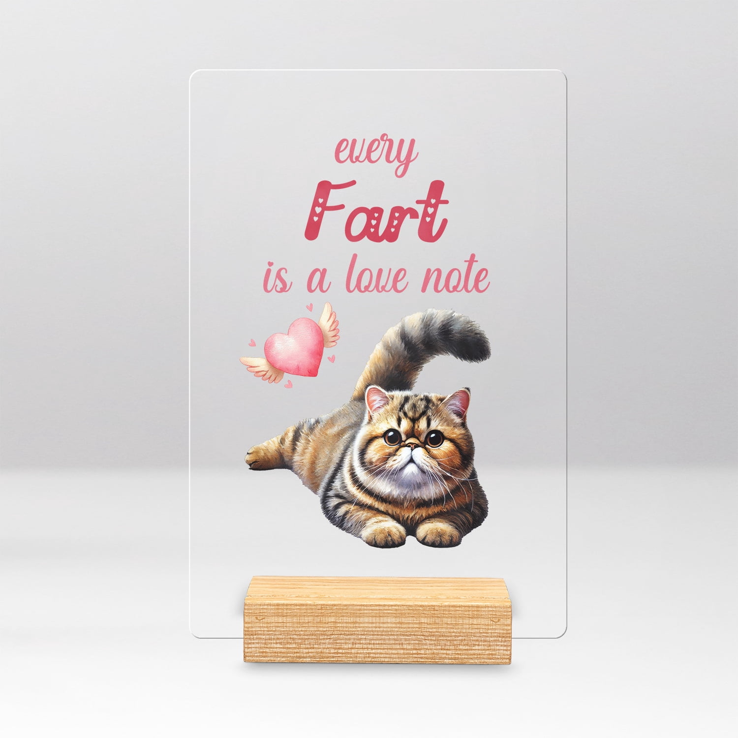 Every Fart is Love Note Exotic Shorthair Guilty Face Happy Valentine's ...