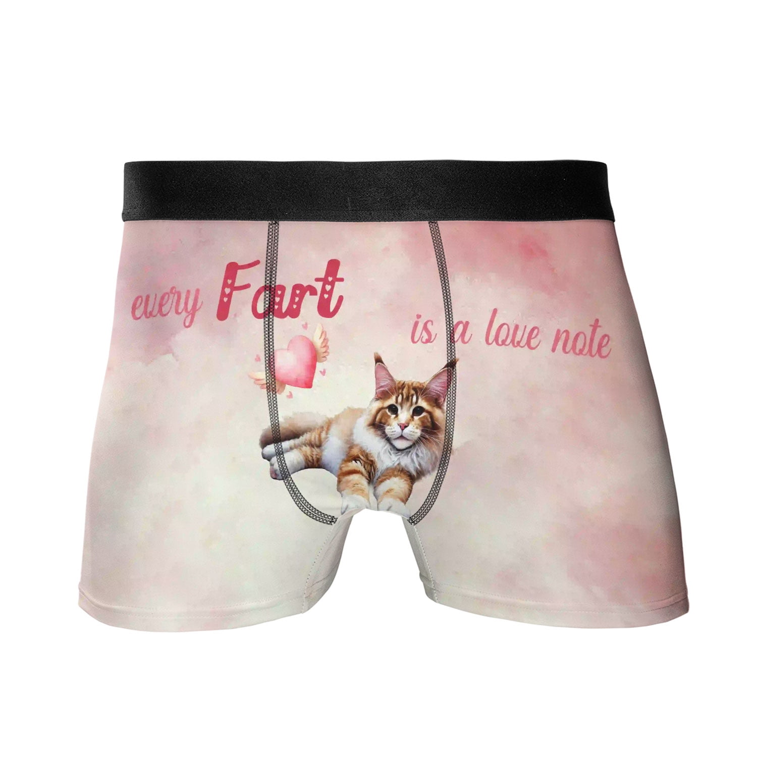 Every Fart is Love Note Maine Coon Guilty Face Happy Valentine's All ...