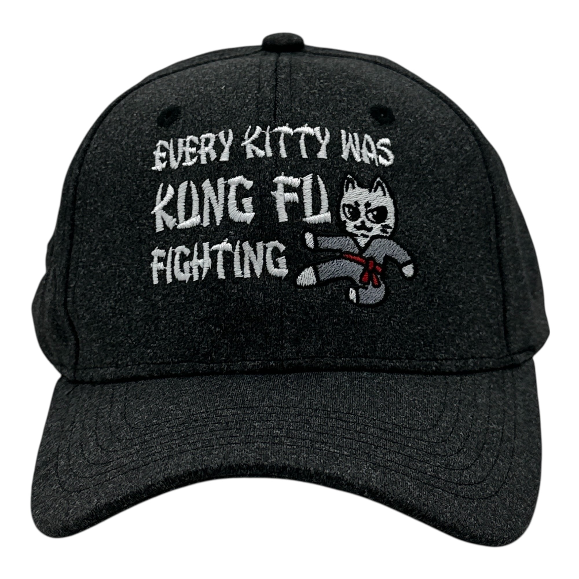 Every Kitty Was Kung Fu Fighting Hat Funny Sarcastic Graphic Novelty ...