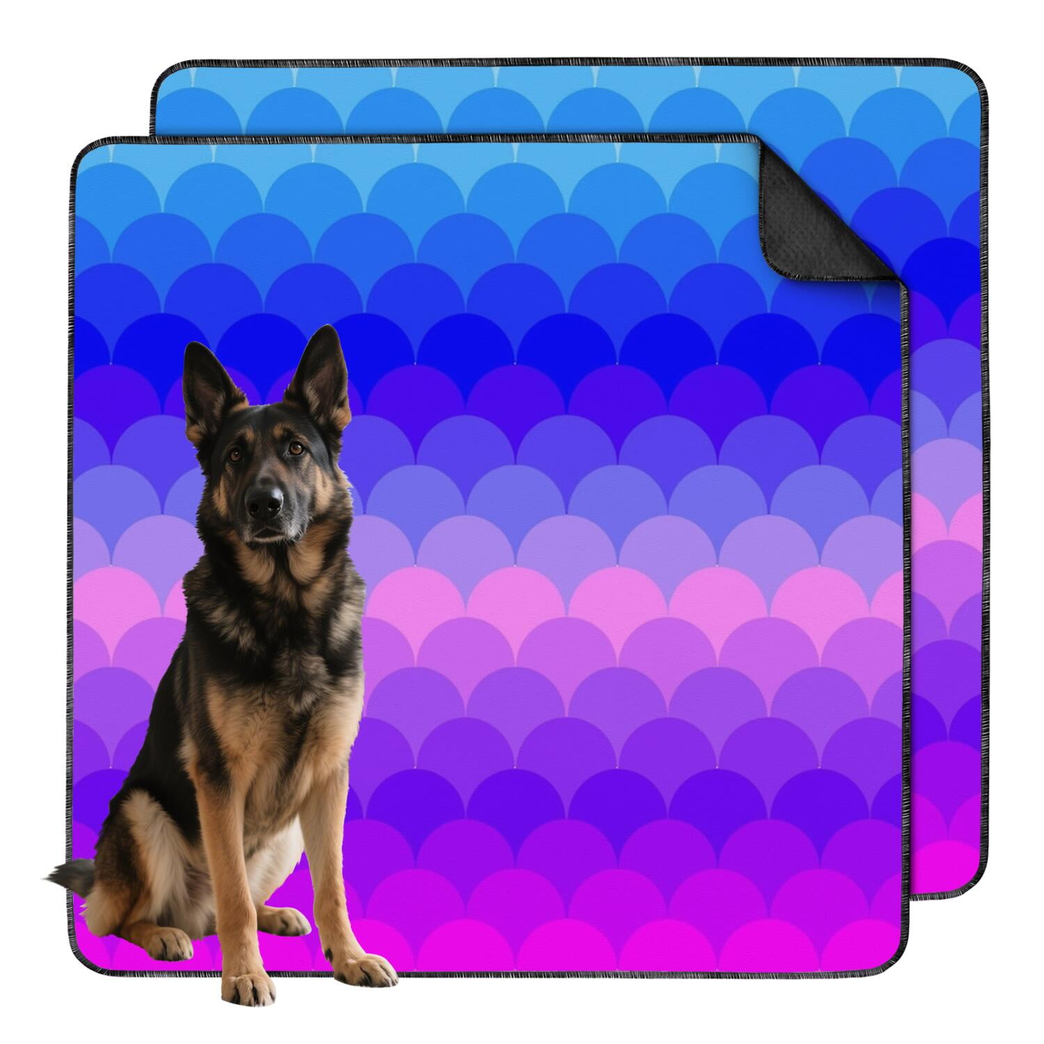 Everyday Dog Pee Pads, Washable and Reusable Potty Pads for Convenient ...