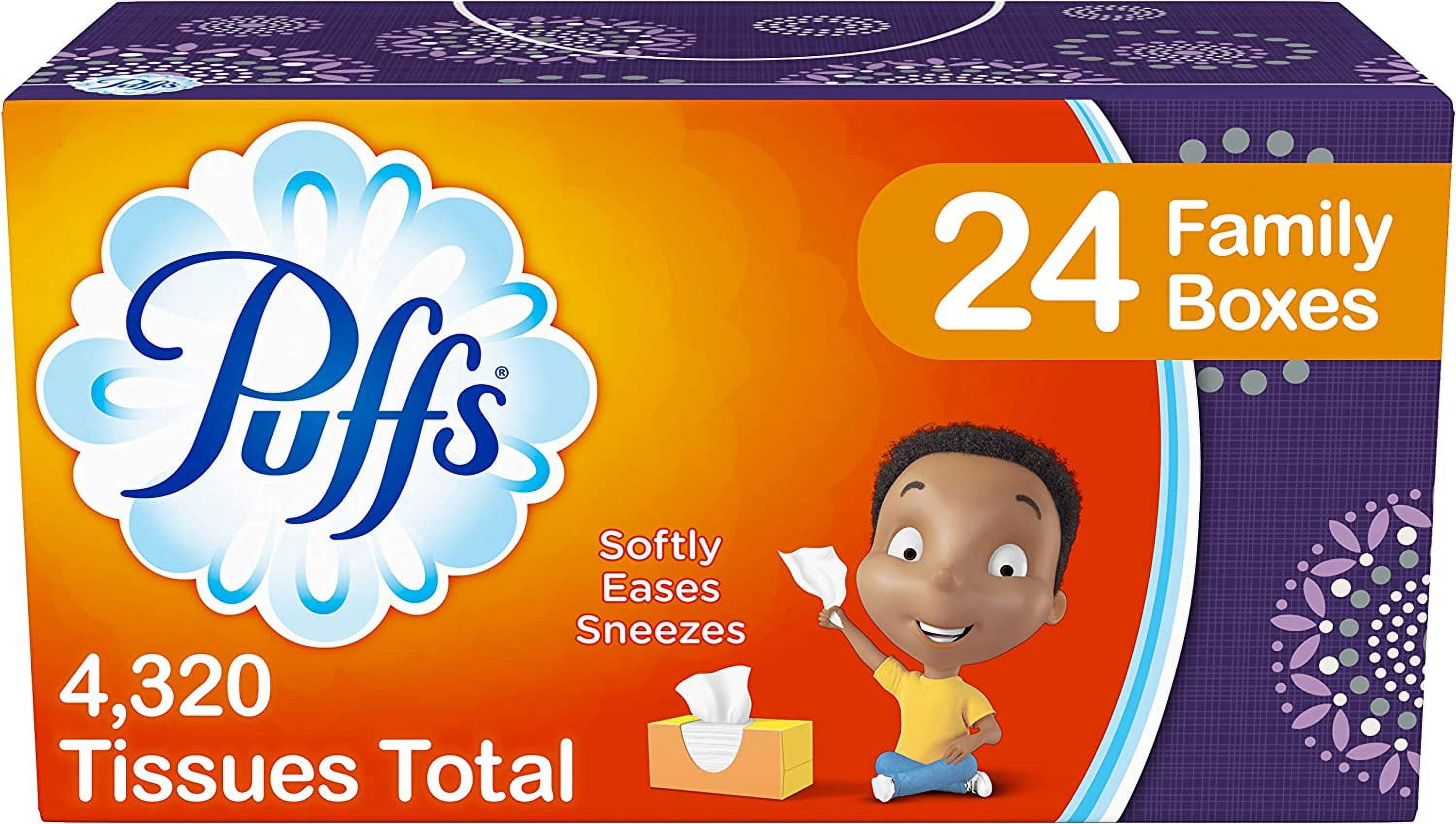 , Everyday Non-Lotion Facial Tissues, 24 Family Boxes, 180 Tissues per ...