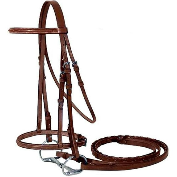 Everyday Raised Fancy Stitched Leather English Schooling Bridle with ...