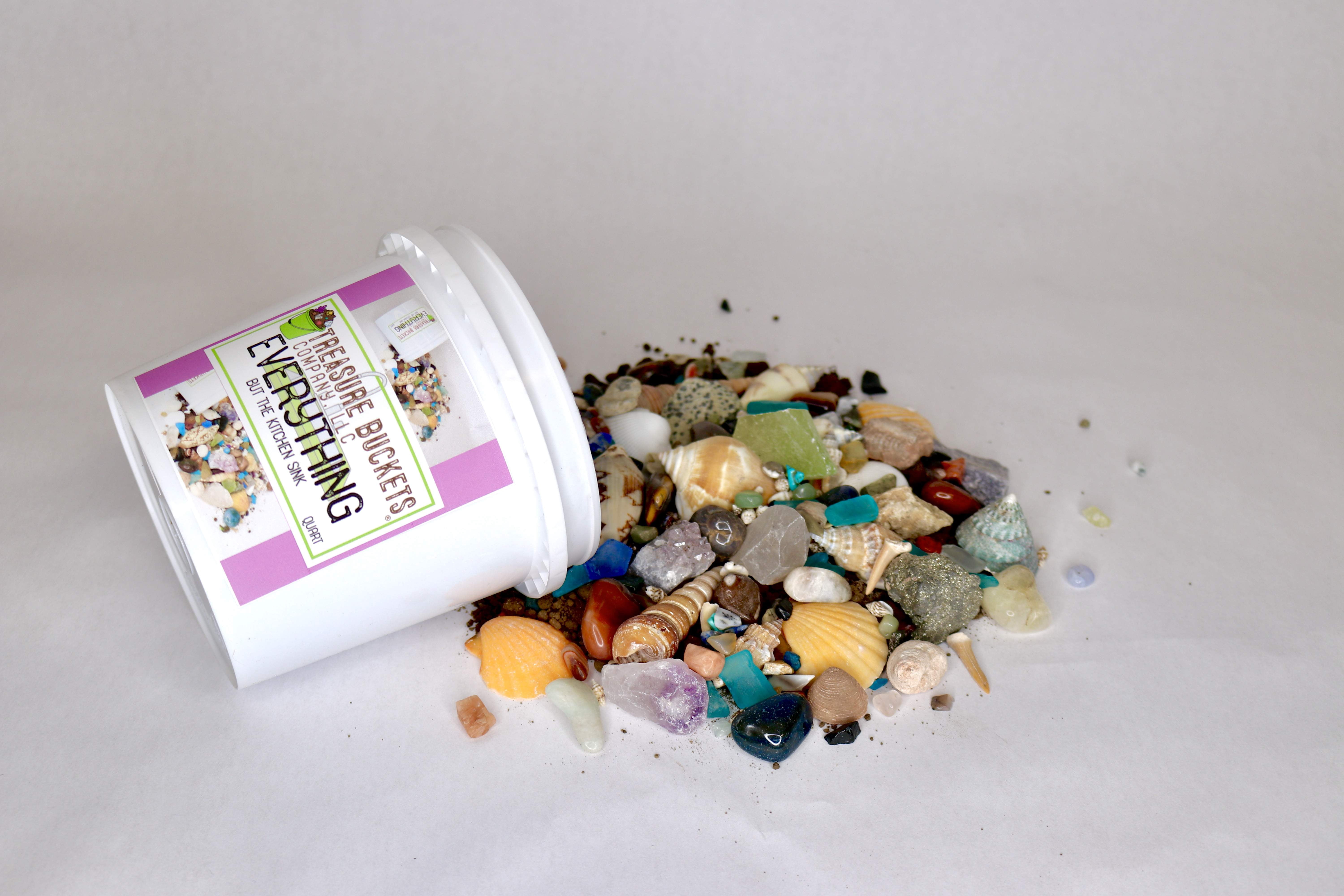 Everything But The Kitchen Sink - Quart - Gemstones, Fossils, Sharks ...