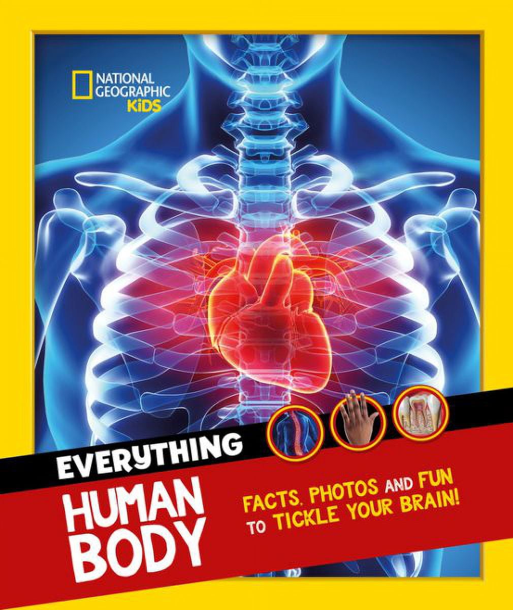 Everything: Human Body - Walmart.com