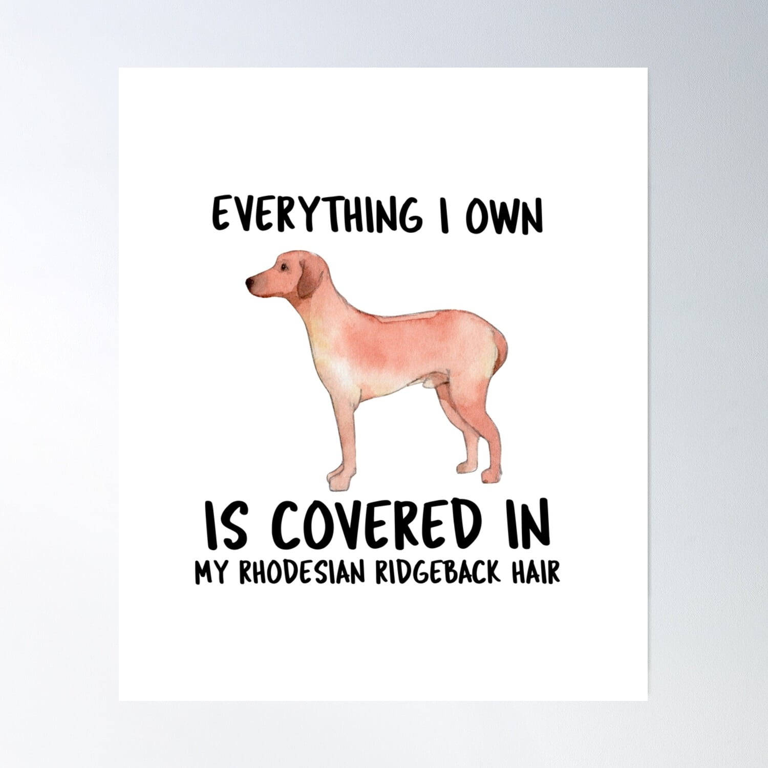 Everything I Own Is Covered In My Rhodesian Ridgeback Hair Poster Wall ...