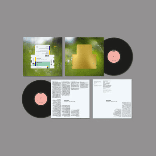 Spiritualized Everything Was Beautiful (Vinyl Record) 12" Album ...