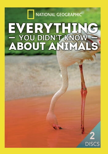 Everything You Didn't Know About Animals (DVD), National Geographic ...
