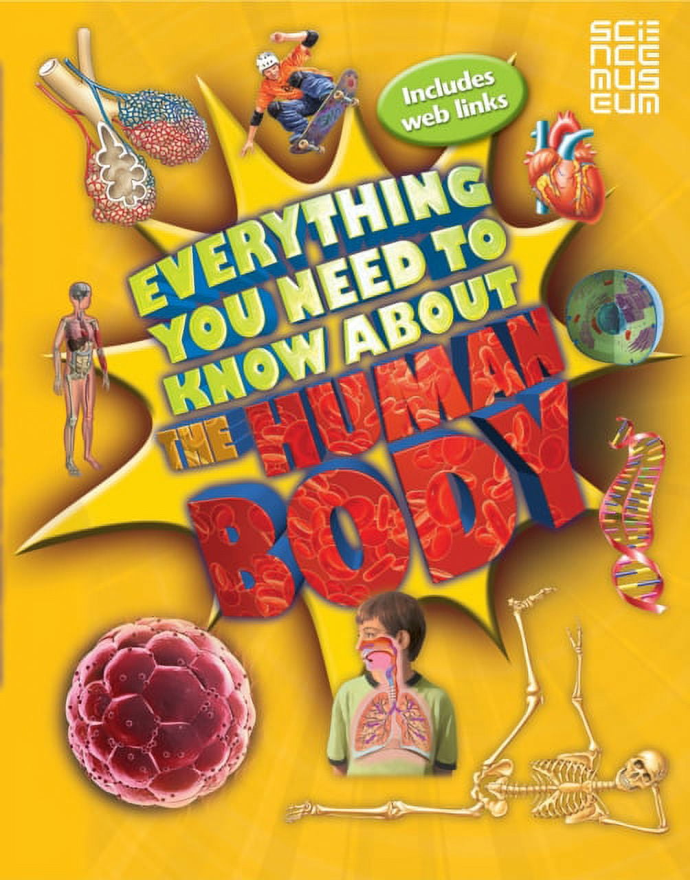 Everything You Need To Know About The Human Body - Walmart.com