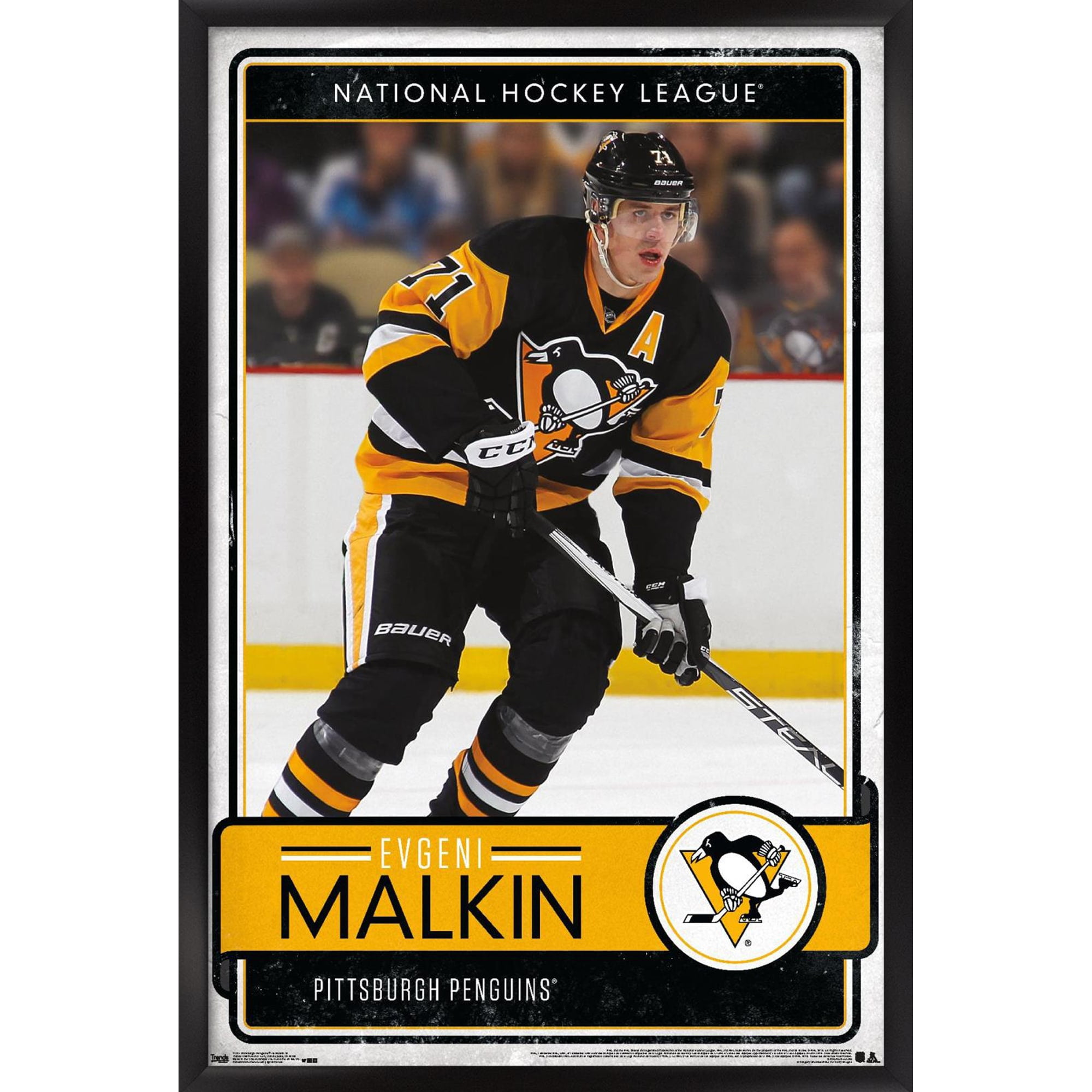 Evgeni Malkin Pittsburgh Penguins 35.75'' x 24.25'' Framed Player ...
