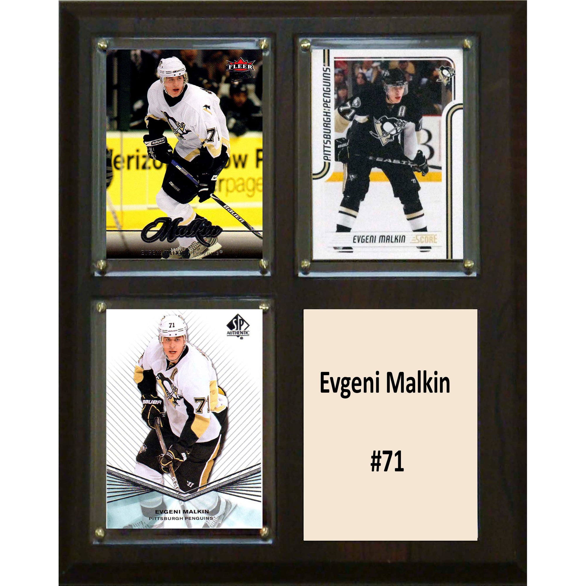 Evgeni Malkin Pittsburgh Penguins 8'' x 10'' Plaque - Walmart.com