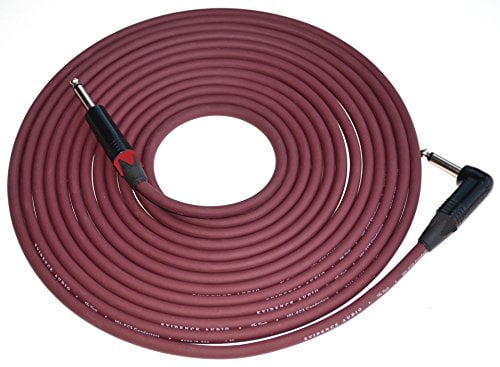 Evidence Audio The Forte 10 Foot Instrument Cable Right to Straight ...