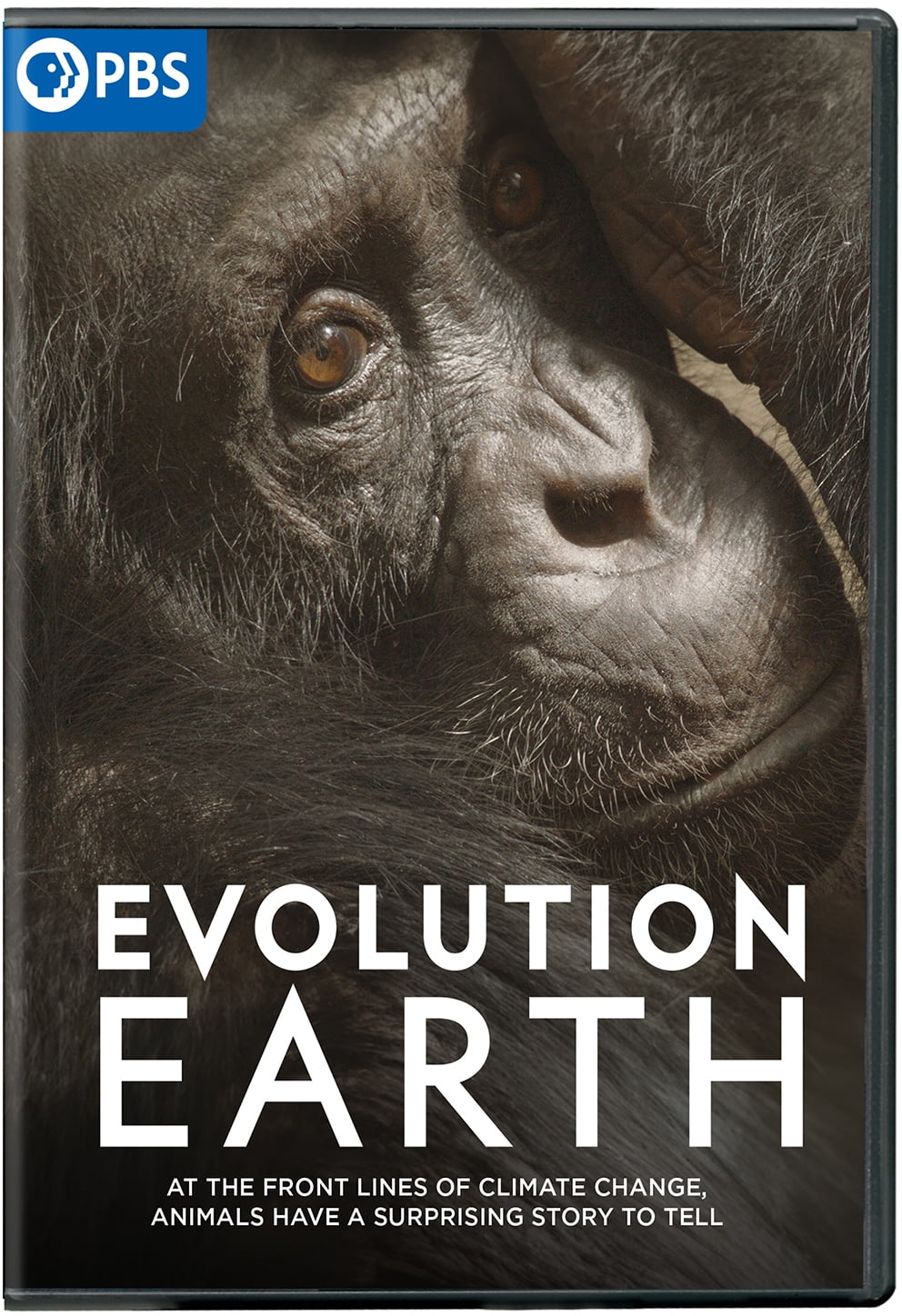 PBS - Evolution Earth [DIGITAL VIDEO DISC] - Walmart.com