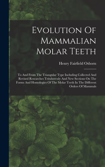Evolution Of Mammalian Molar Teeth: To And From The Triangular Type ...