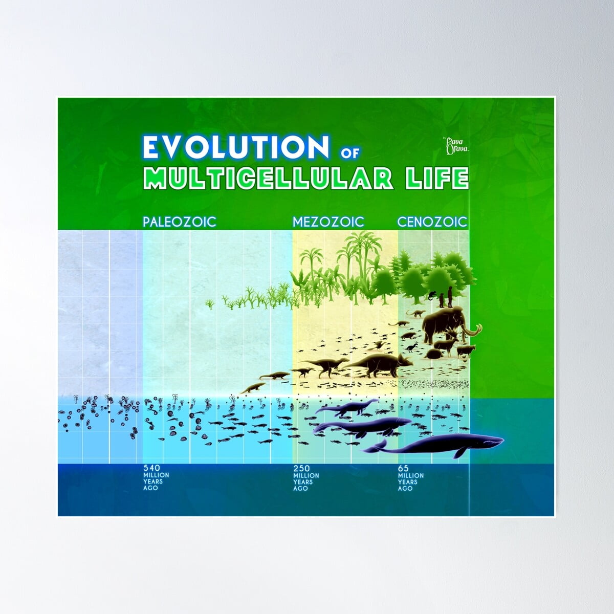 Evolution Of Multicellular Life Poster Wall Art, Modern Wall Decor For ...