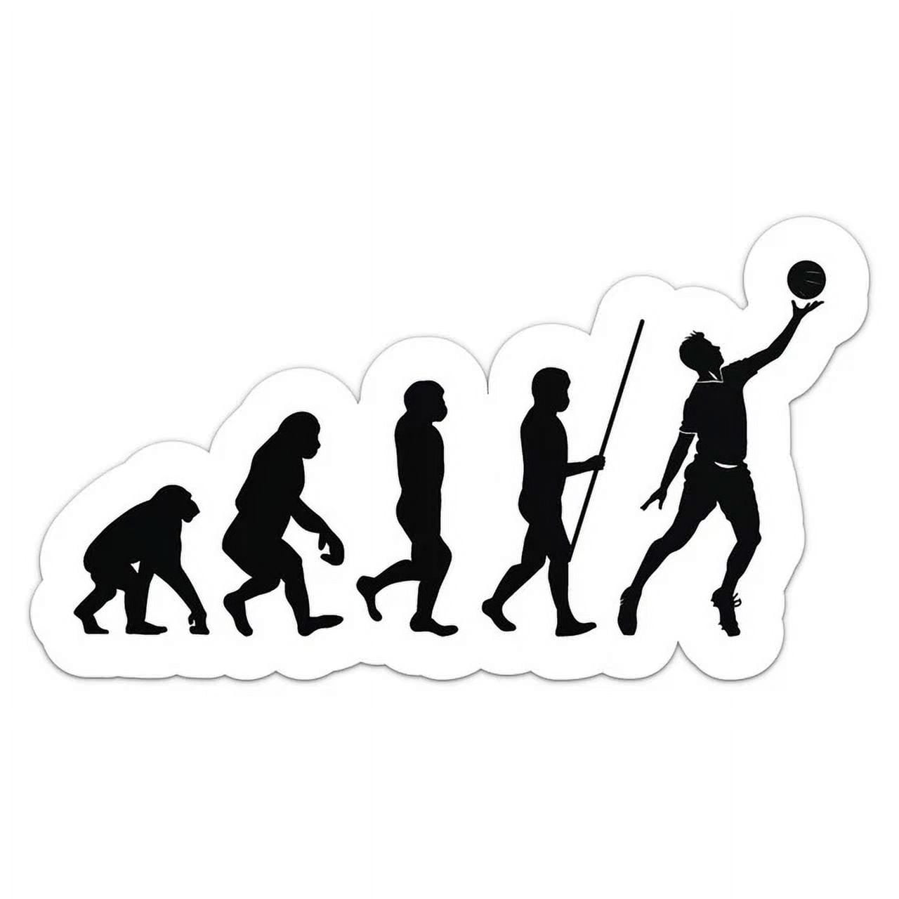 Evolution Of Volleyball Player Sticker Phone Decal Water Bottle ...