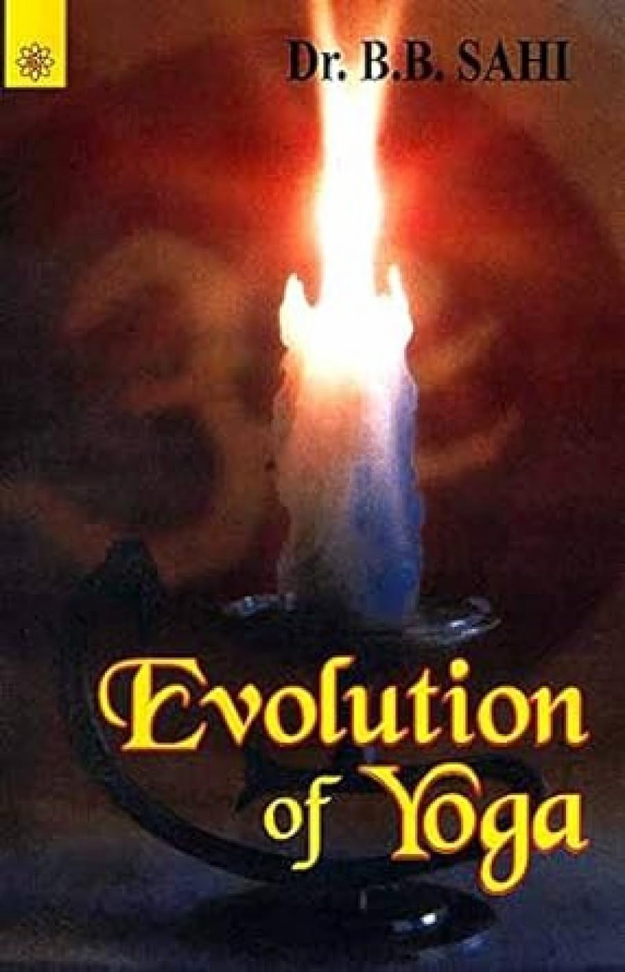 Evolution Of Yoga (English Version) - Walmart.com
