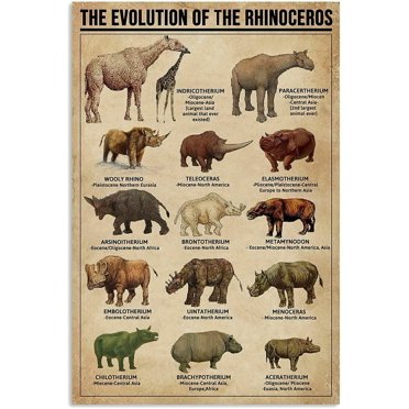 Eaglemoss Star Trek Discovery USS Enterprise NCC-1701-A Dedication ...