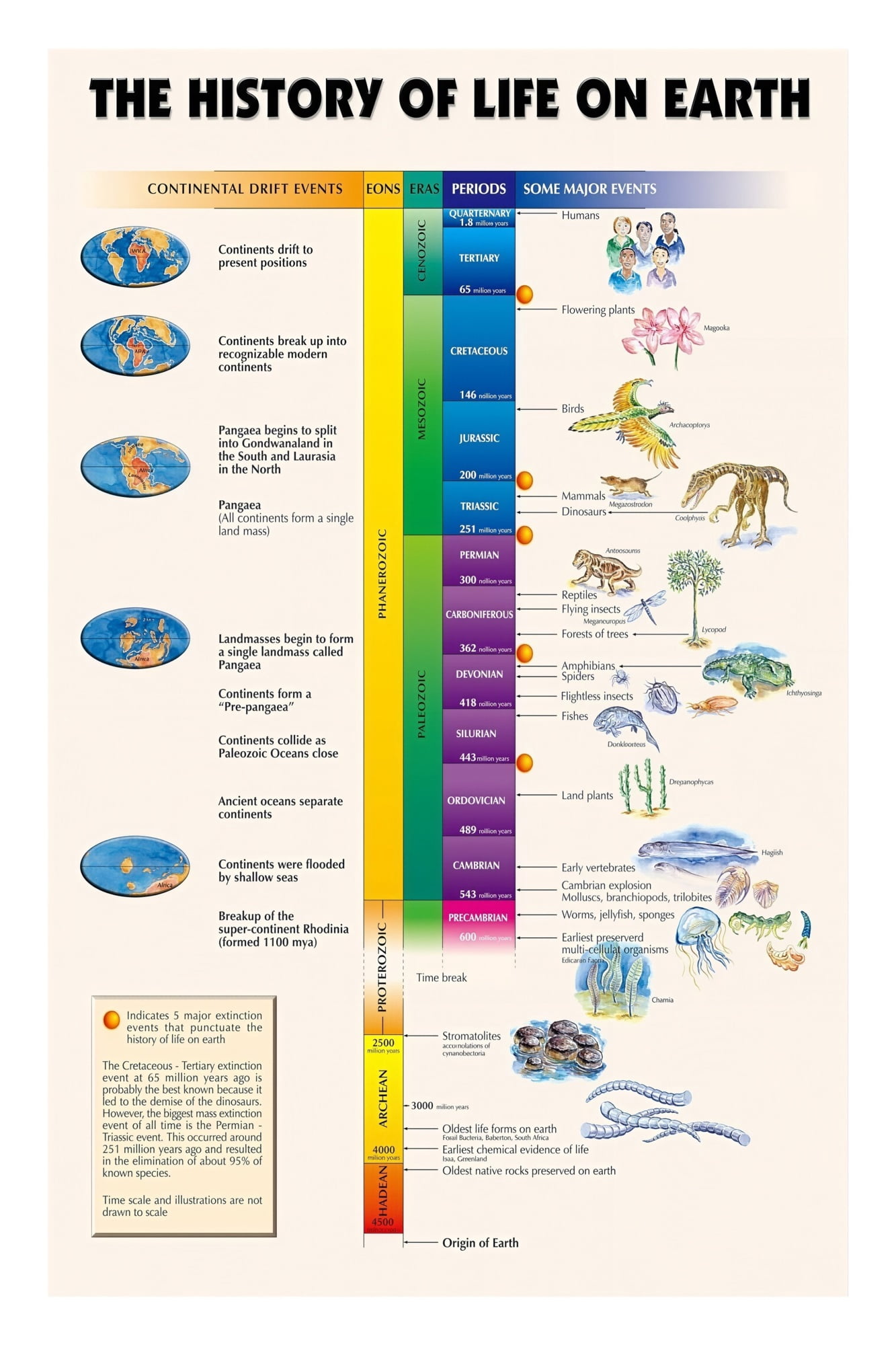 Evolution of Life Geological Time Scale Canvas Print Vintage Science ...