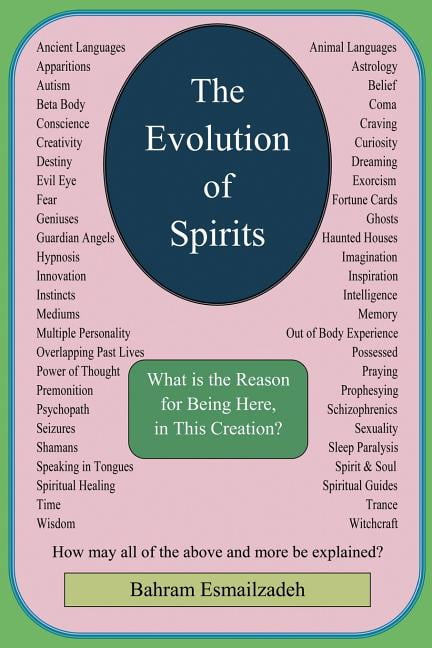 Evolution of Spirits : What Is the Reason for Being Here, in This ...