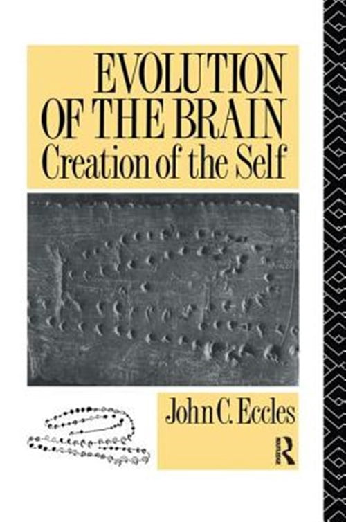 Pre-Owned Evolution of the Brain: Creation of the Self - Walmart.com