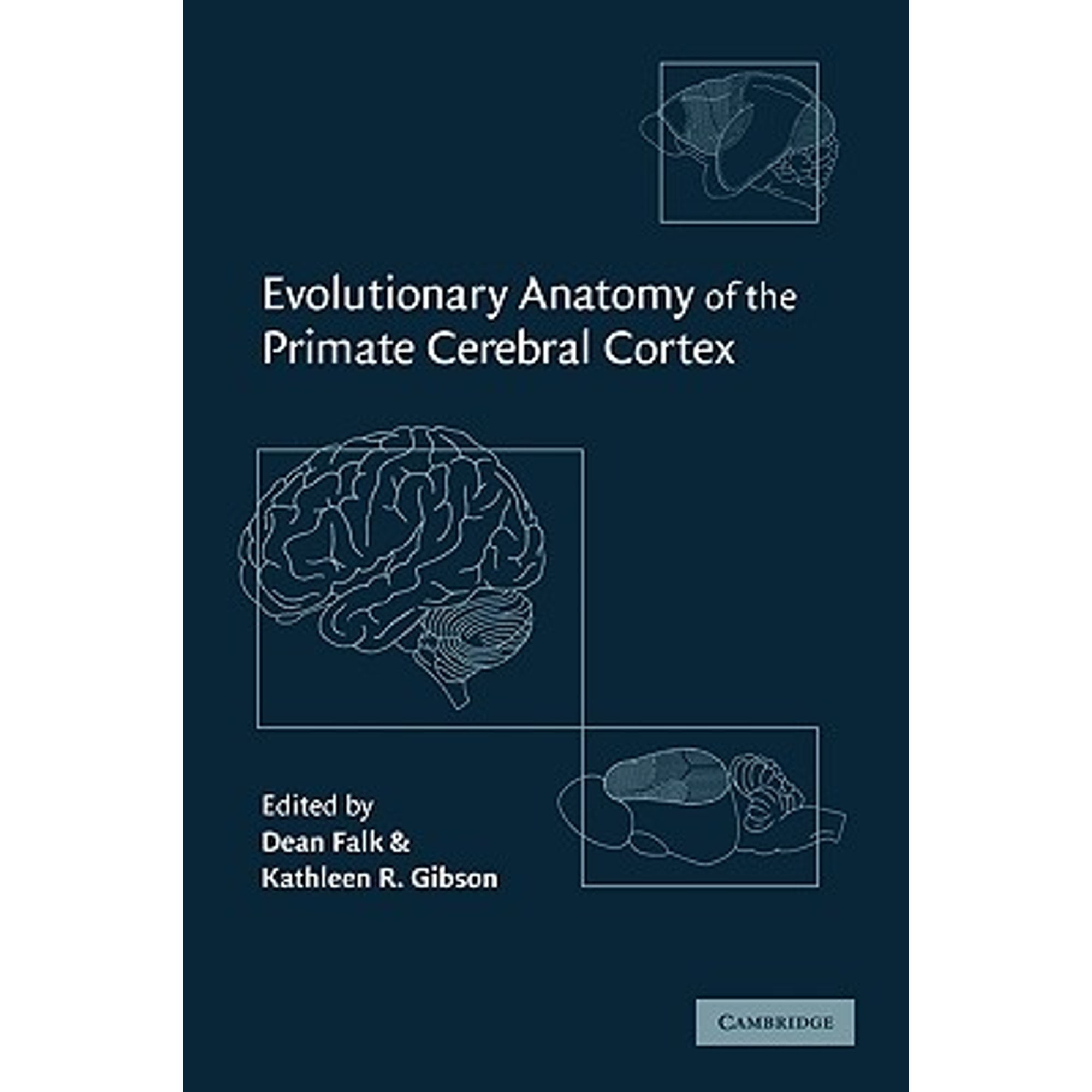 Pre-Owned Evolutionary Anatomy of the Primate Cerebral Cortex ...