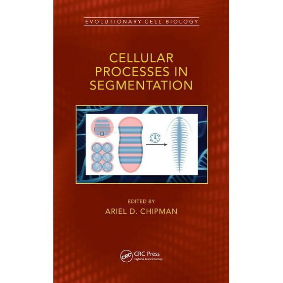 Evolutionary Cell Biology Cellular Processes in Segmentation ...