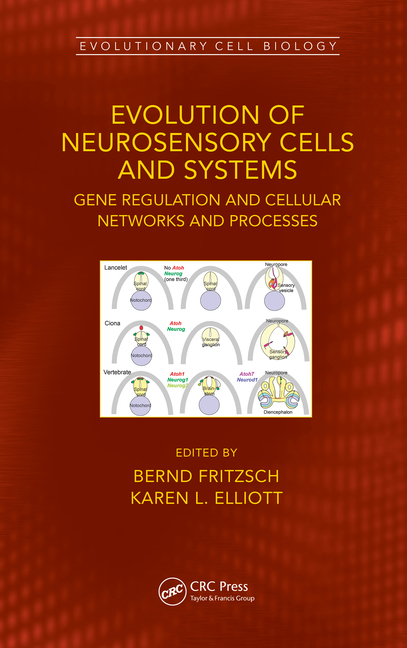 Evolutionary Cell Biology Evolution of Neurosensory Cells and Systems ...