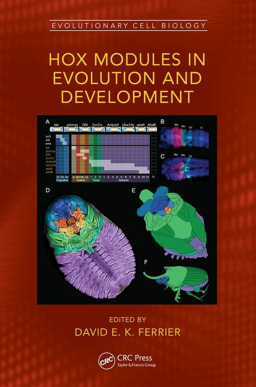 Evolutionary Cell Biology Hox Modules in Evolution and Development ...