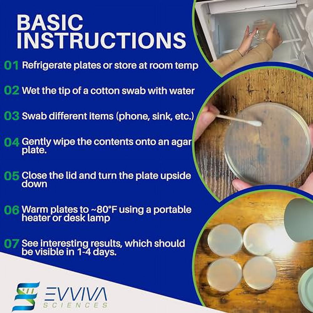 Evviva Sciences Nutrient Agar Petri Dishes Science Kit, Pre-Poured Agar ...