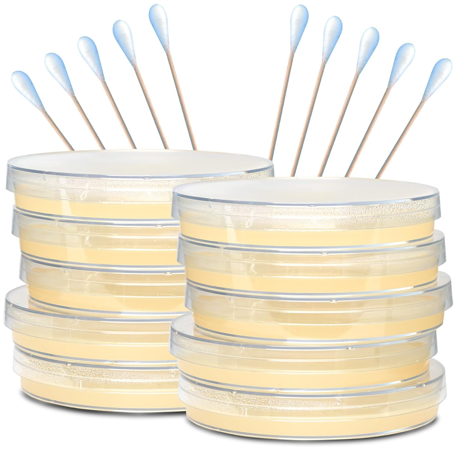 Evviva Sciences Nutrient Agar Petri Dishes Science Project Kit, Pre ...