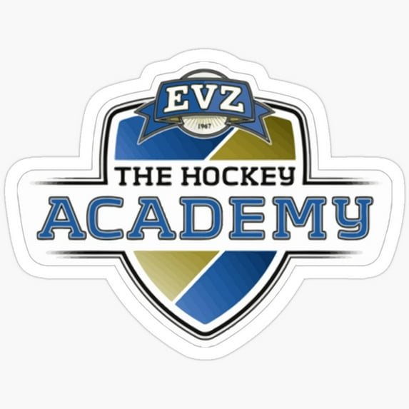 Evz Academy Sticker Phone Decal Water Bottle Stickers Car Decals ...