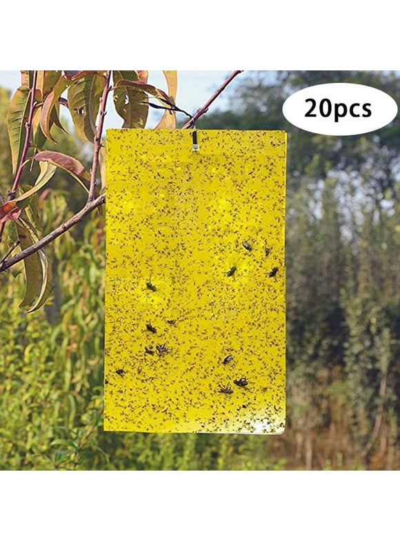 Roach Bait and Trap in Roach - Walmart.com