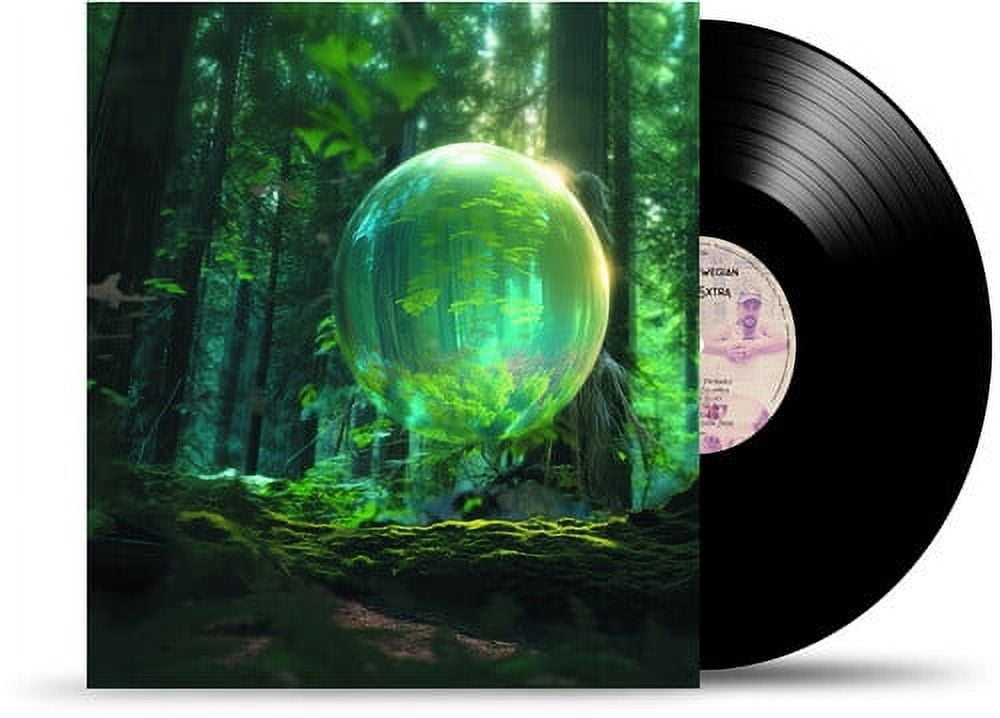 Ex Norwegian - Sooo Extra - Music & Performance - Vinyl - Walmart.com