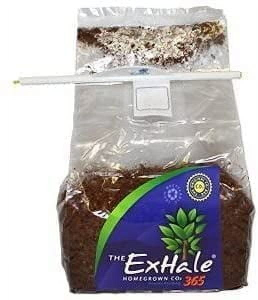 ExHale CO2 Exhale 365-Self Activated CO2 Bag (1) - Walmart Business ...