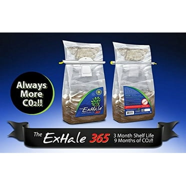 Genuine Innovations Premium CO2 Cartridge - Walmart.com