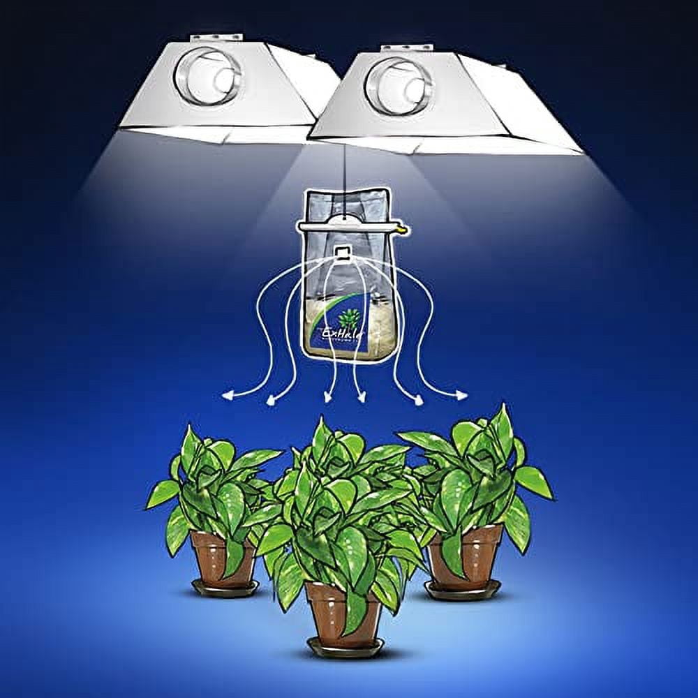 ExHale Homegrown CO2 XL - CO2 Bag for Indoor Grow Rooms & Tents - CO2 ...