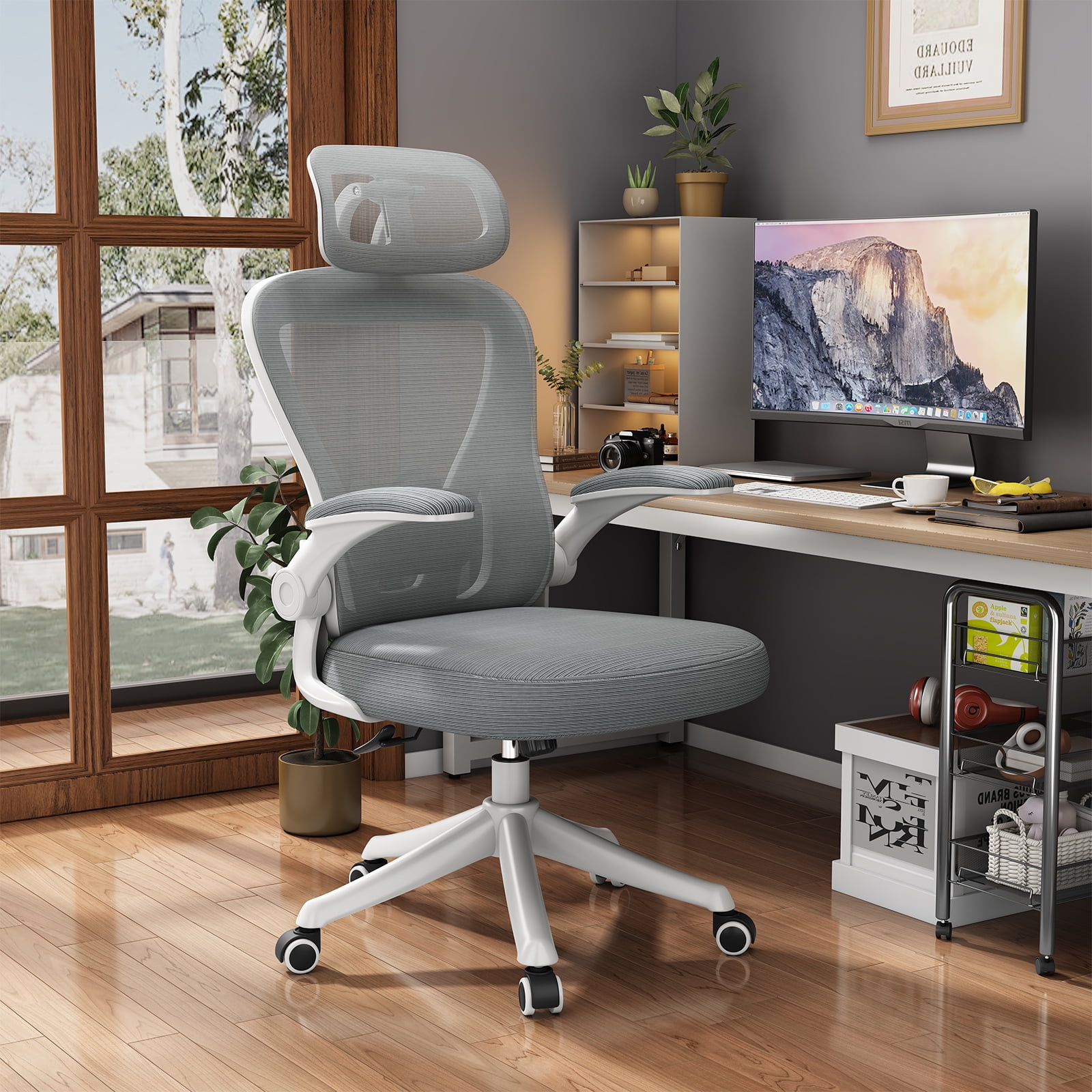ExOffice Home Office Chair, Ergonnomic Mesh Computer Desk Chair with ...