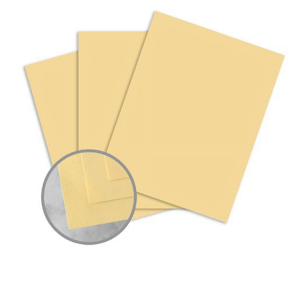 Exact Index Buff Paper - 8 1/2 x 11 in 110 lb Index Smooth 250 per ...