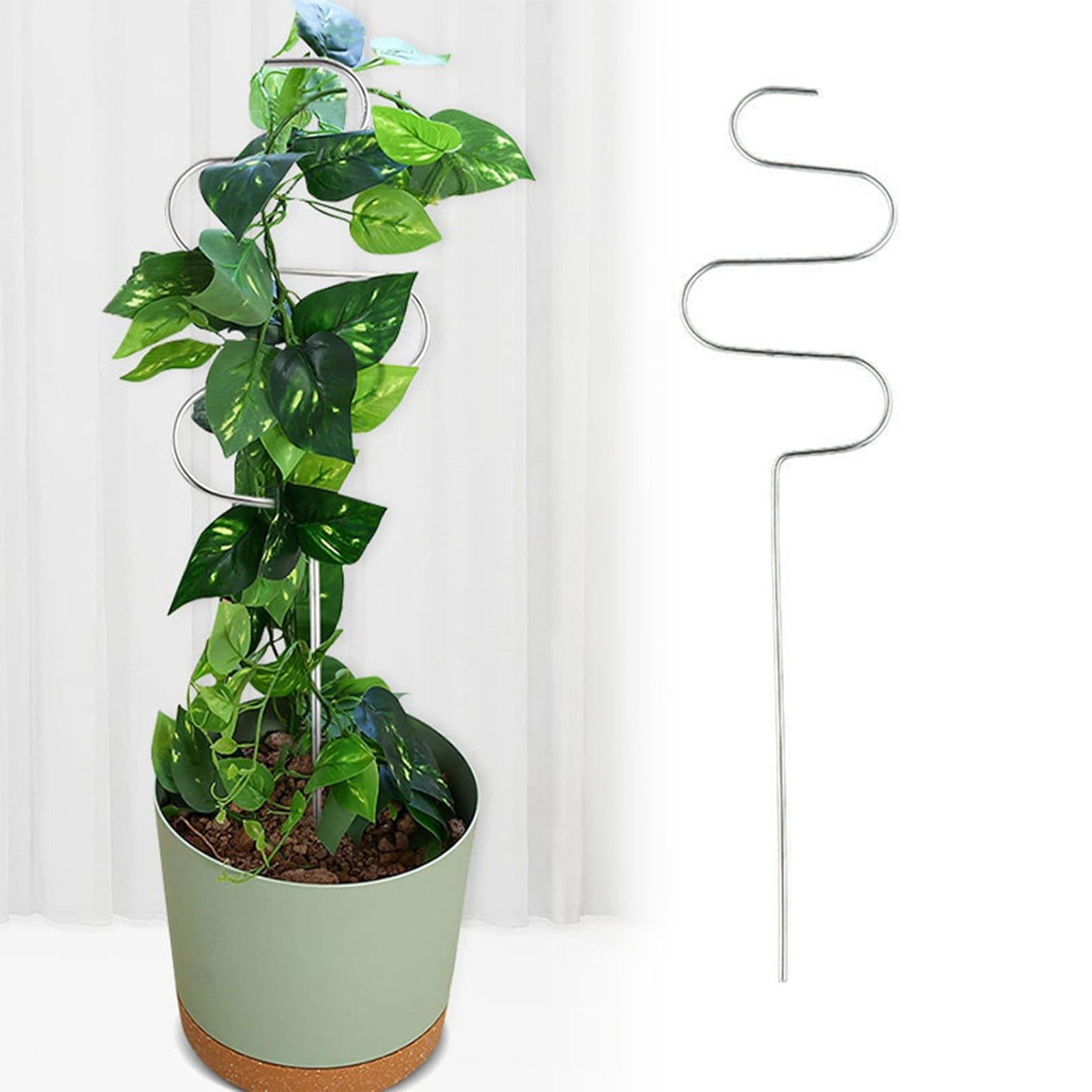 ExactEdge Rattan Clip For Climbing Potted Indoor Plants Sturdy & Strong ...