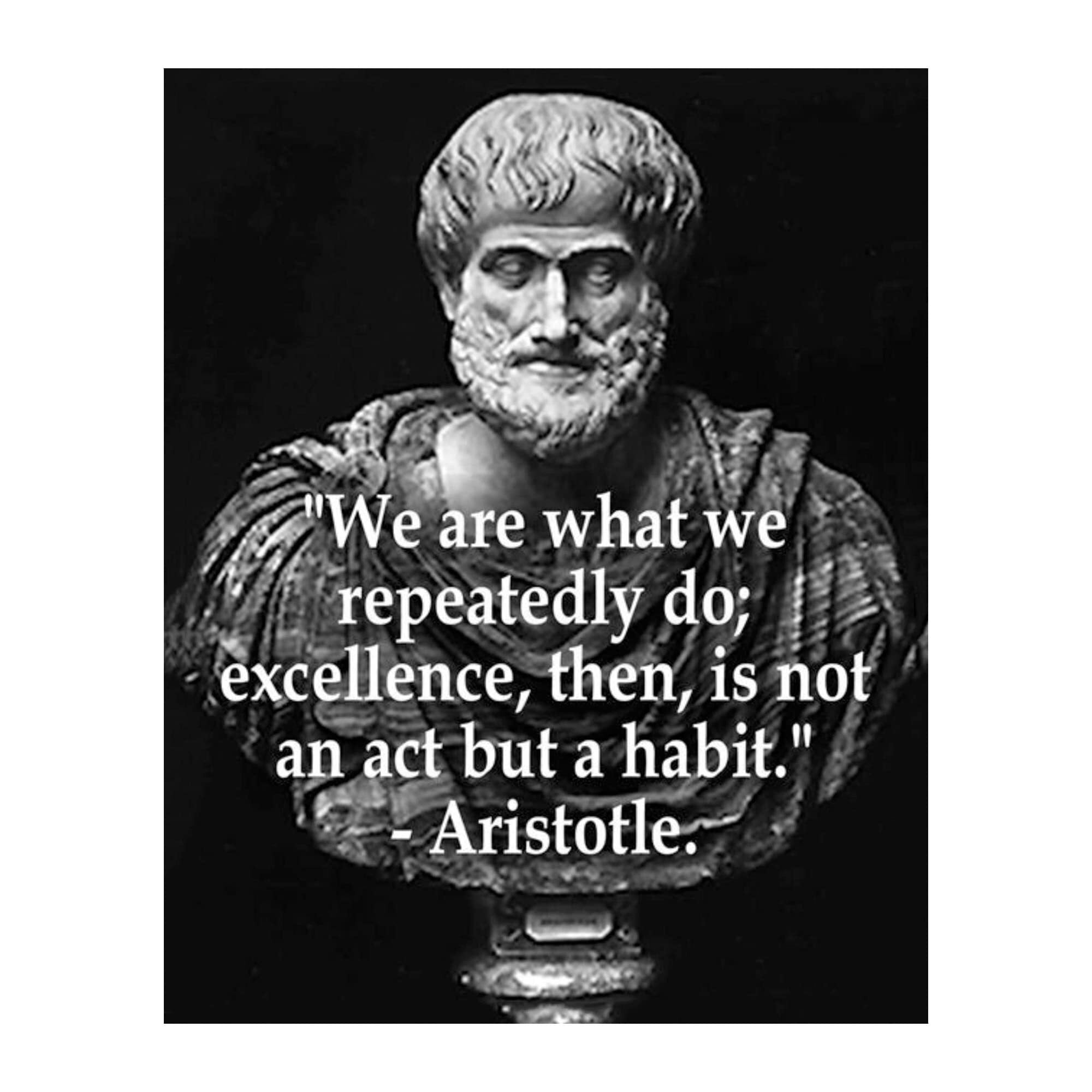 "Excellence is a Habit" Aristotle Quote Wall Art Print - Motivational ...