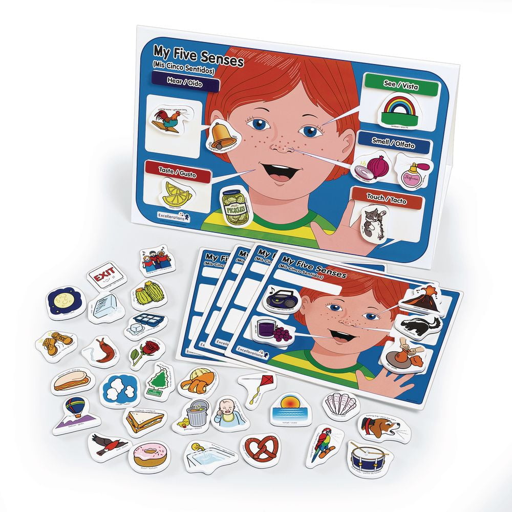 Excellerations Bilingual My 5 Senses Magnet Activity Set - Walmart.com